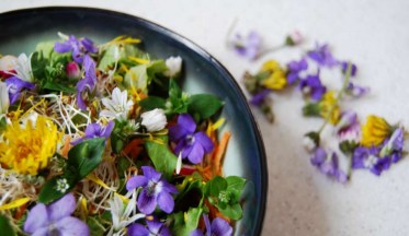 Les fleurs comestibles | Leaderplant - Cuisiner avec les plantes ...