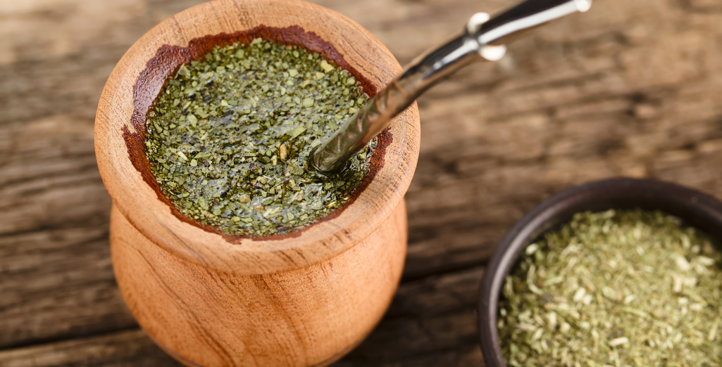 Planter un Yerba maté pour préparer son propre maté - Cuisiner avec les ...