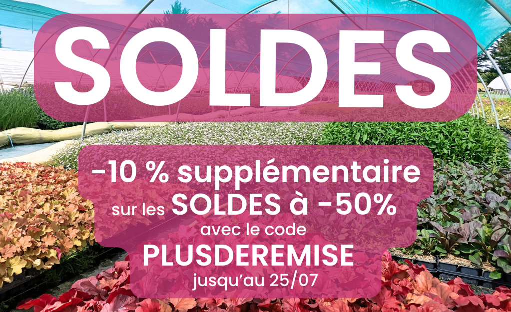 Consulter la dernière news